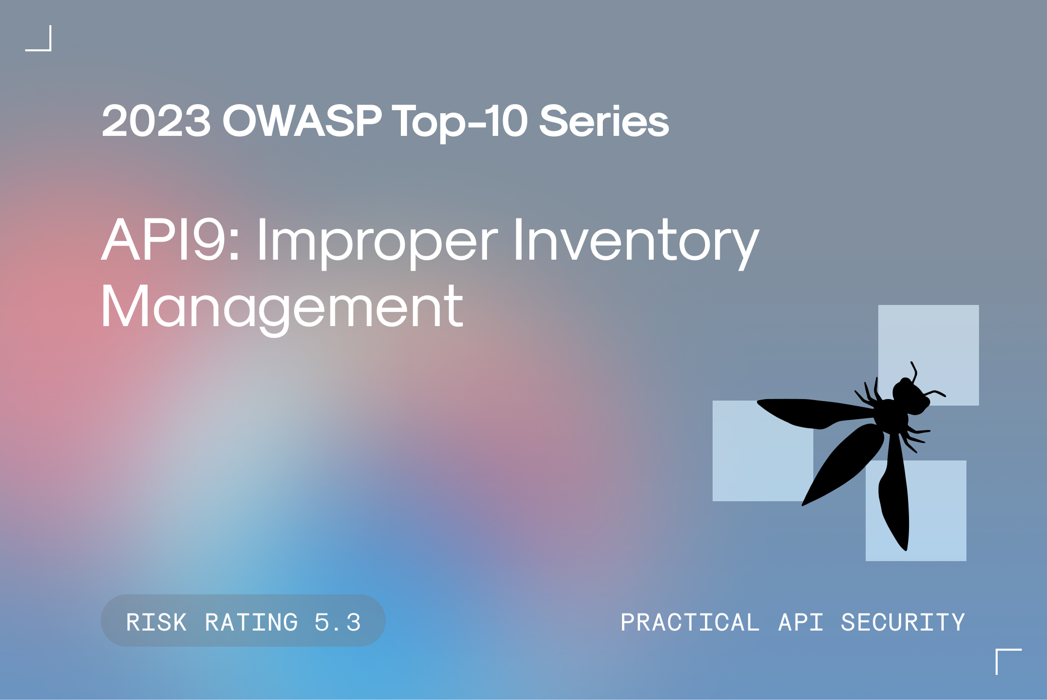 API9:2023 Improper Inventory Management — OWASP