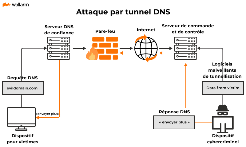 Qu'est-ce qu'une attaque par tunnel DNS ? — Wallarm