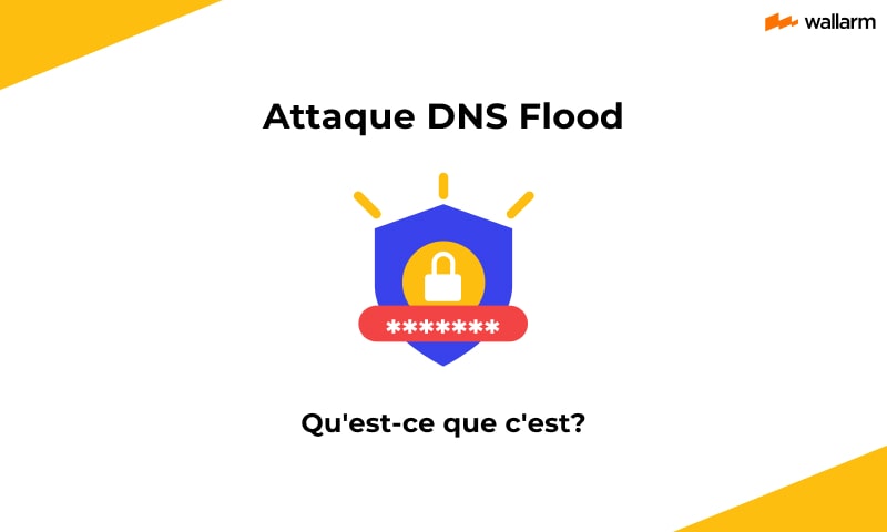 Qu'est-ce qu'une attaque DNS Flood ? ⚔️ — Wallarm